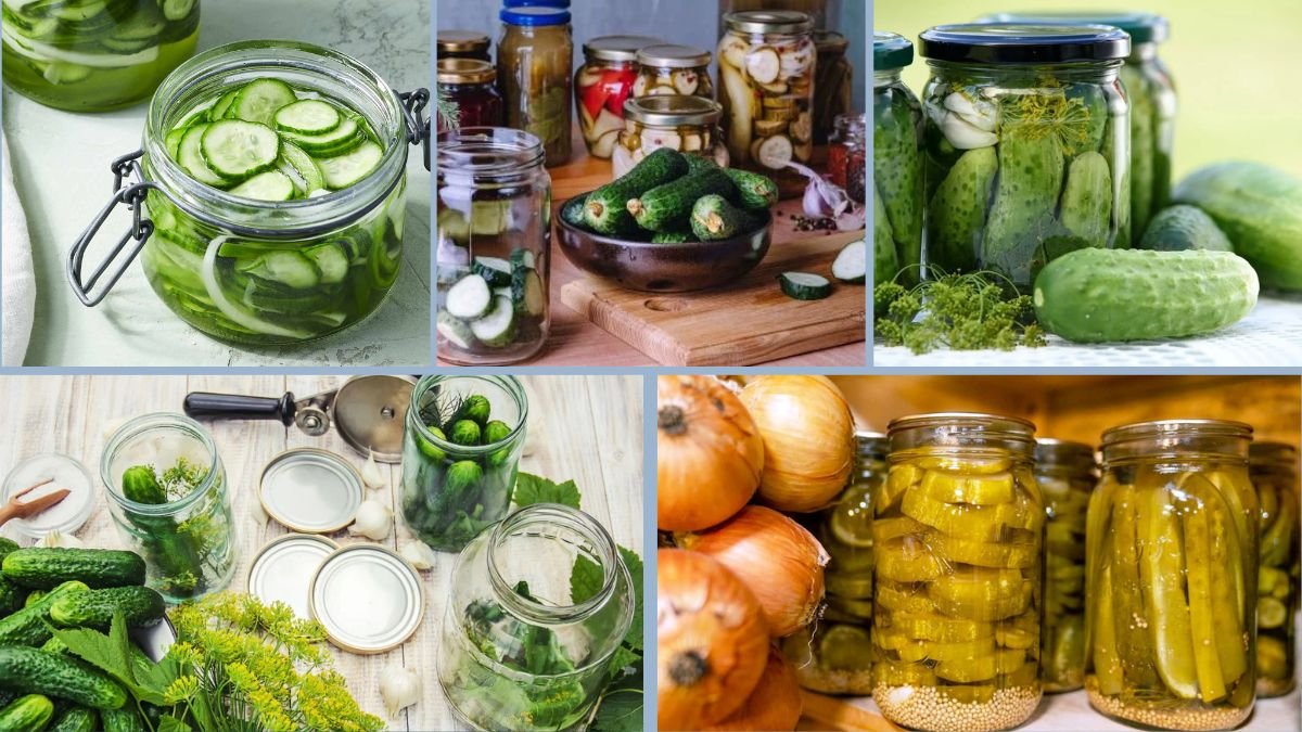 How to Make Homemade Pickles That Actually Taste Great - Bademiya