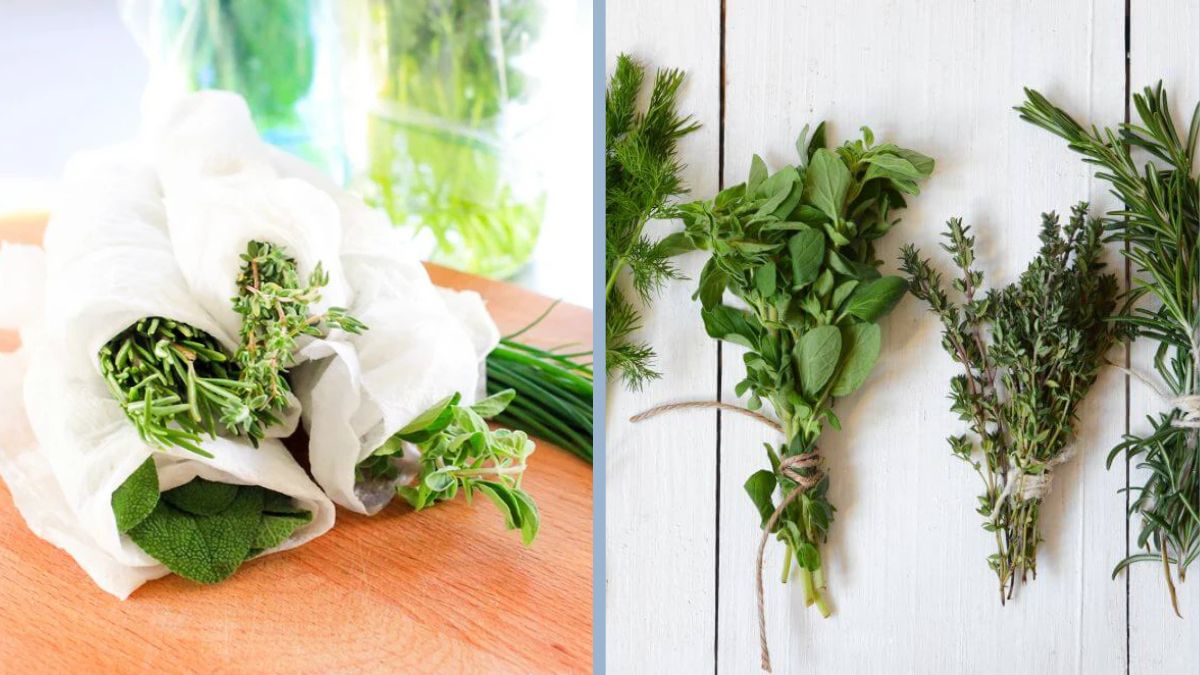 5 Ways to Store Fresh Herbs for Longer Flavor - Bademiya