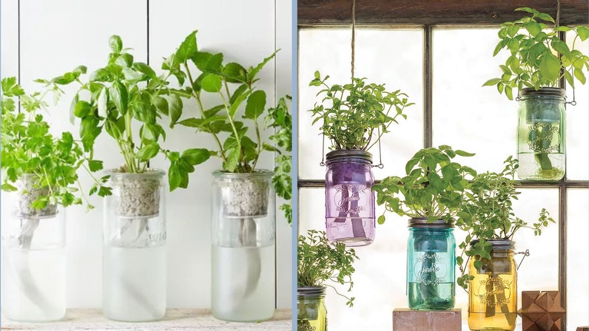 How to Start a Kitchen Herb Garden in Jars - Bademiya