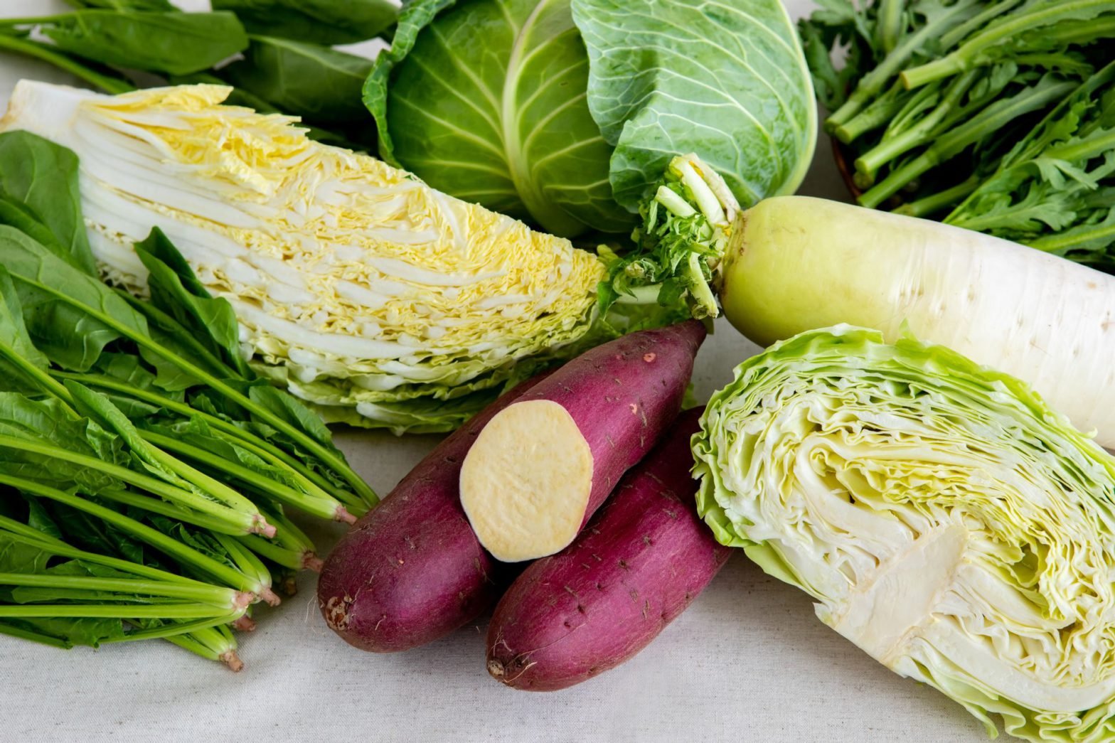 Vegetables That Survive Cold Winters - Bademiya